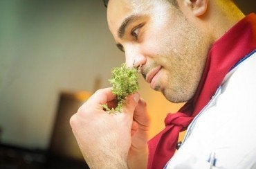 Super-Tasters and Non-Tasters: Is it Better to Be Average? • The ...