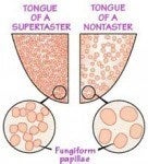 Super-Tasters and Non-Tasters: Is it Better to Be Average? • The ...
