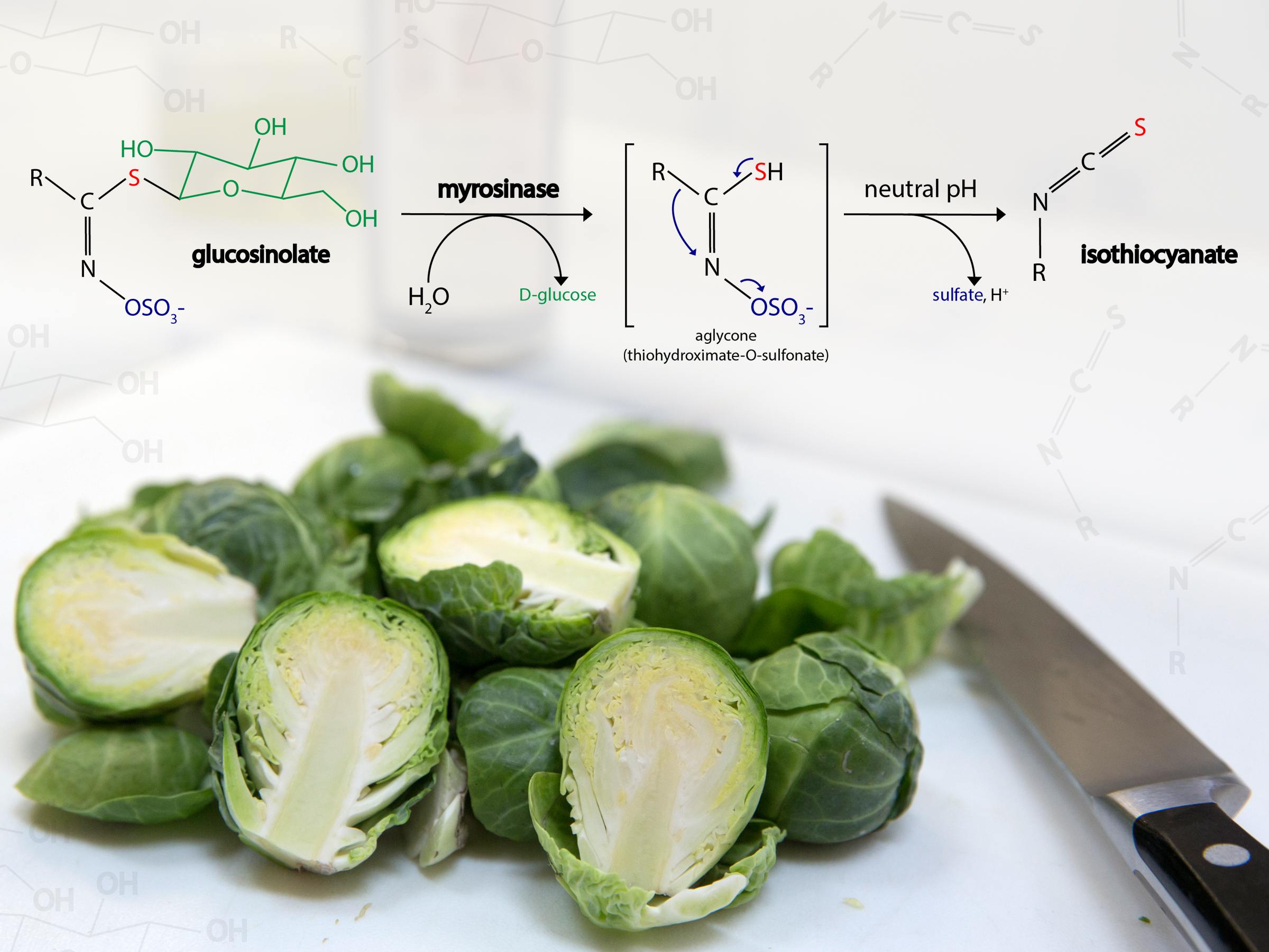 Brussels Sprouts - The Nutrition Source
