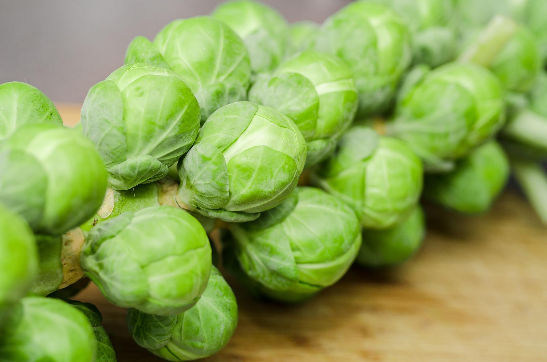 Brussels Sprouts • The Nutrition Source