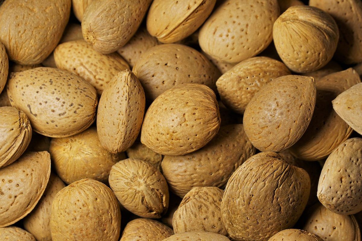 Almonds • The Nutrition Source