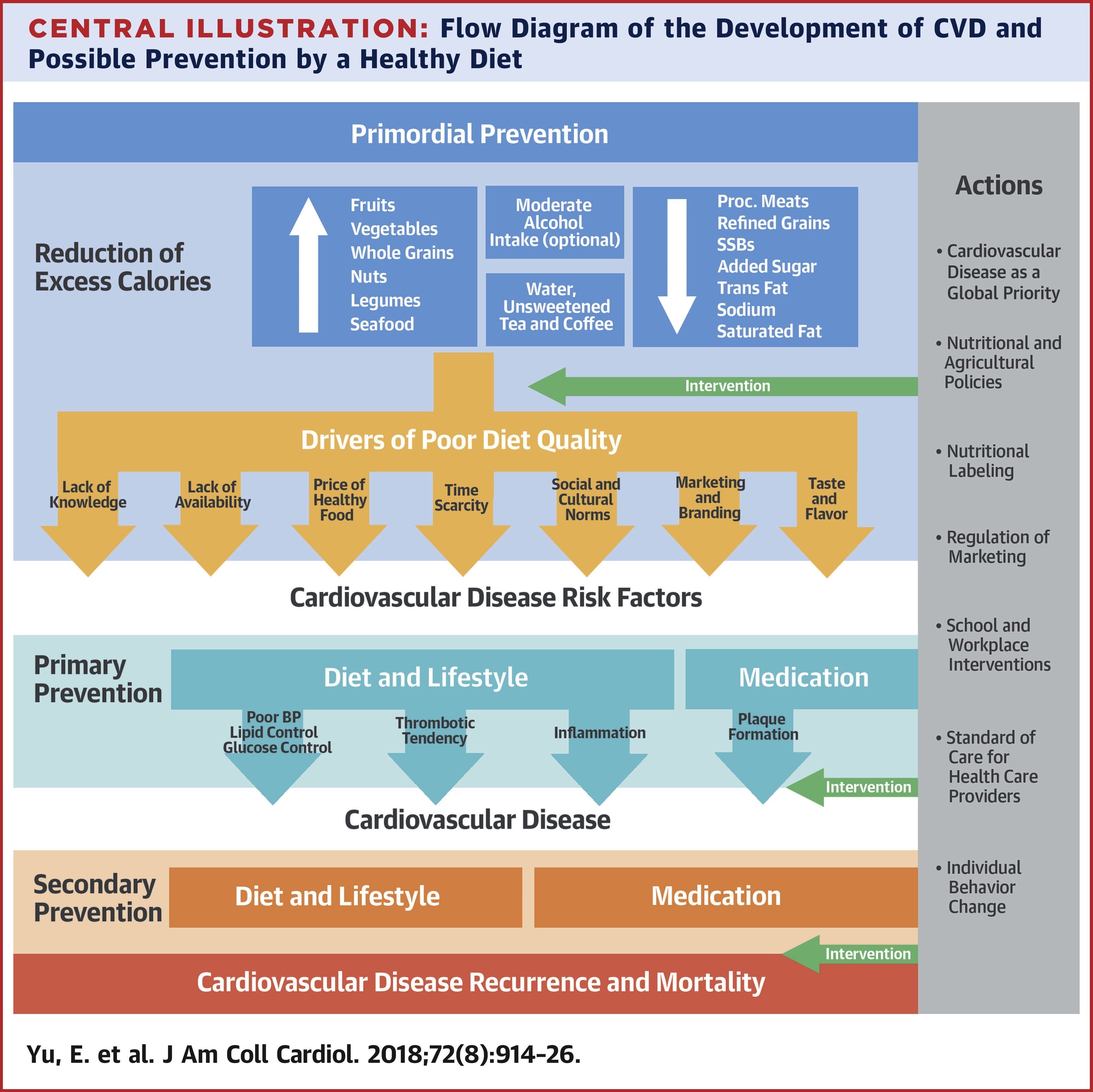 Preventing Heart Disease - The Nutrition Source