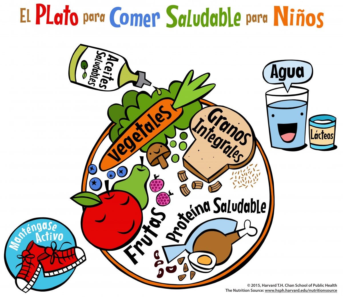 El Plato para Comer Saludable (Spanish) – The Nutrition Source