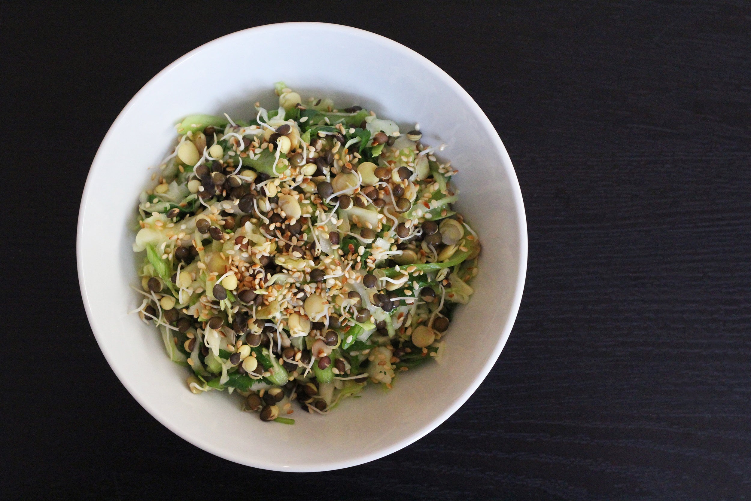 Sprouted Lentil, Cabbage, and Celery Slaw • The Nutrition Source