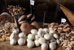 Mushrooms • The Nutrition Source