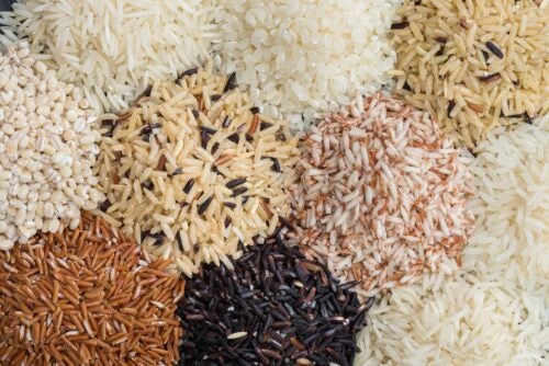Rice • The Nutrition Source