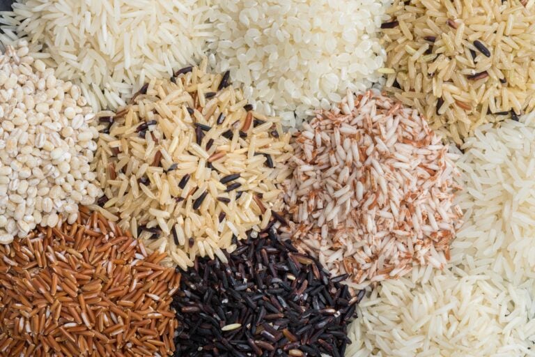 Rice • The Nutrition Source