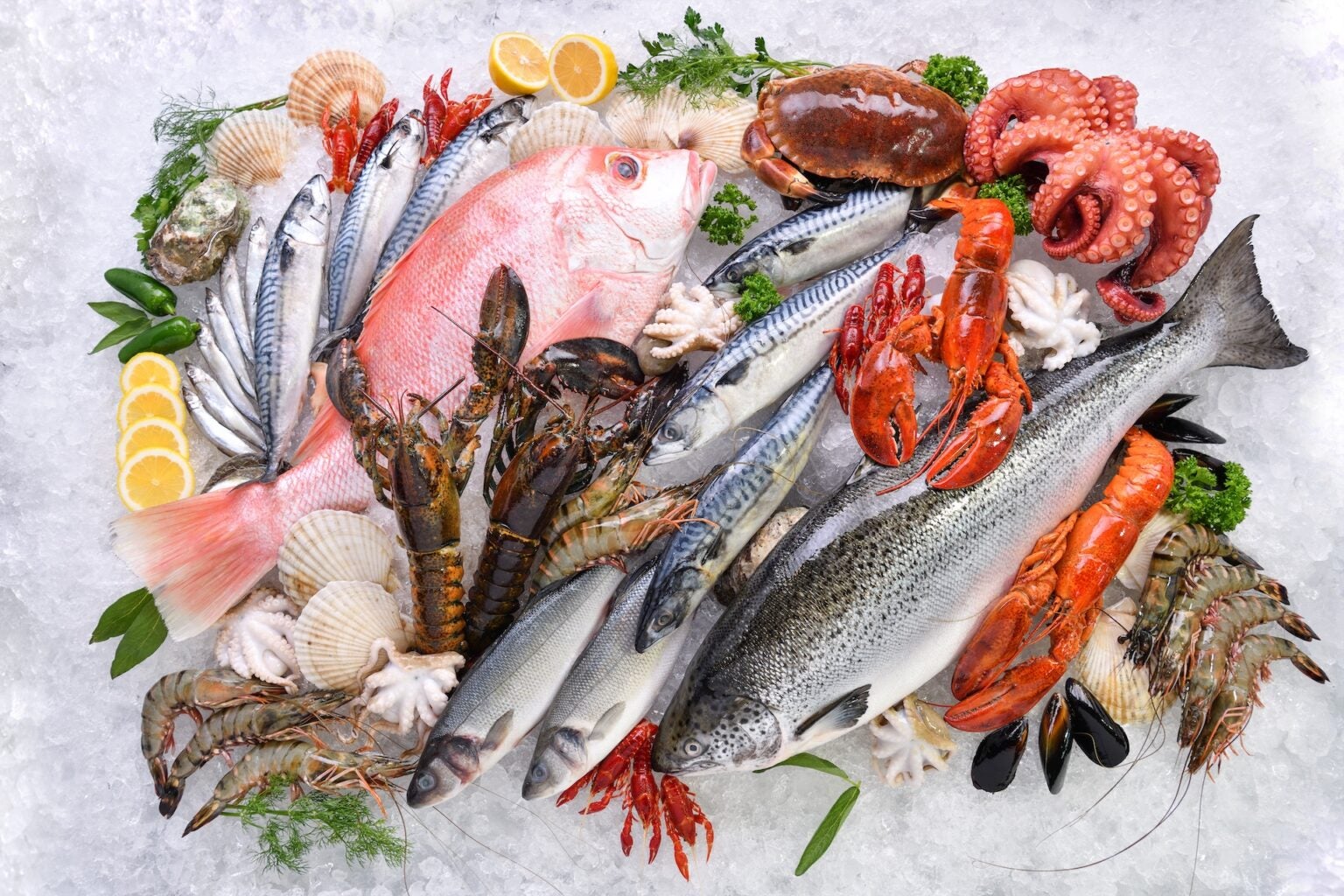 Aquatic Foods • The Nutrition Source
